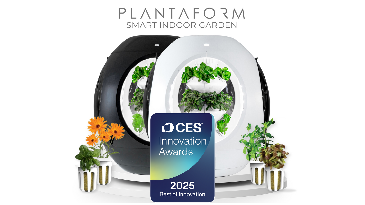 Plantaform Launches Smart Indoor Gardens In the U.S. at CES 2025