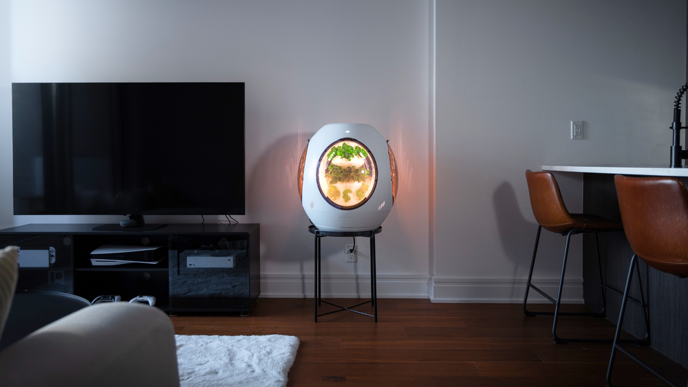 Plantaform Launches Smart Indoor Gardens In the U.S. at CES 2025