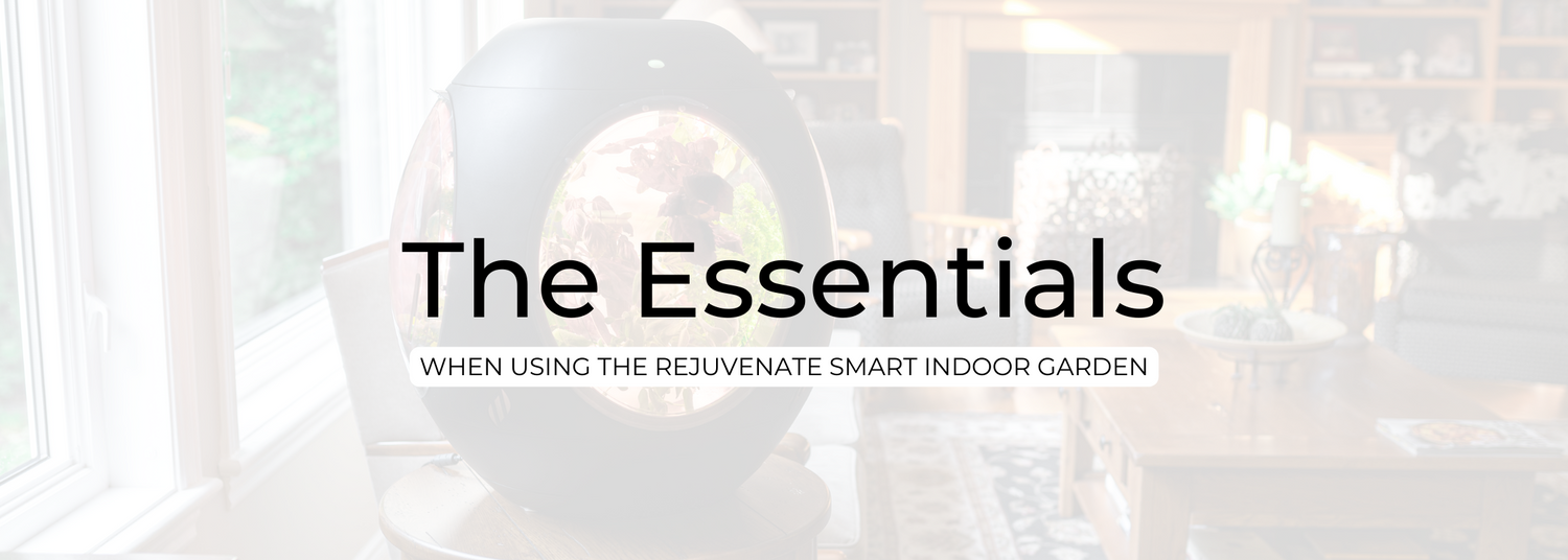 The Essentials: Using A Rejuvenate Smart Indoor Garden – Plantaform