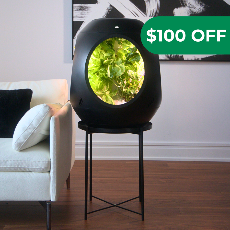 Shop Plantaform Products