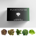 Lettuce Mix – Plantaform