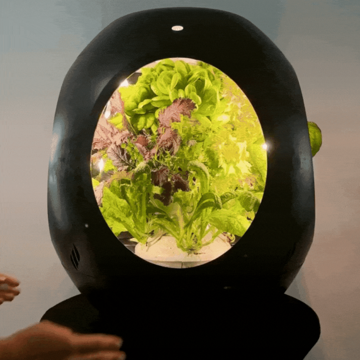 Shop Plantaform Products