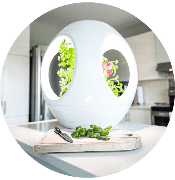Smart Indoor Garden - Rejuvenate By Plantaform